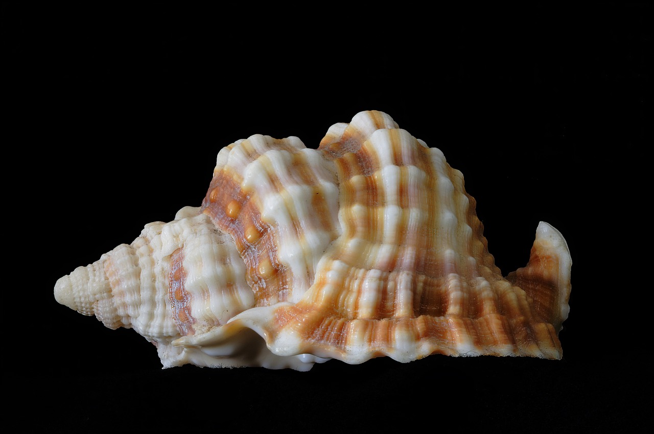 Hoe maak je een datumprikker in Forms zonder dubbele keuzes?